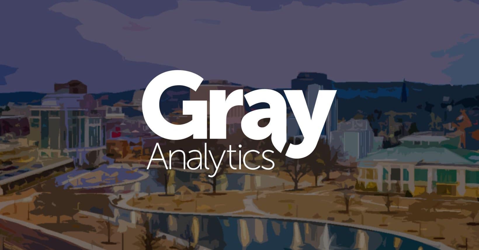 Cybersecurity Risk Management Company | Gray Analytics